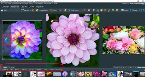 Ashampoo Photo Commander review: Image editing software