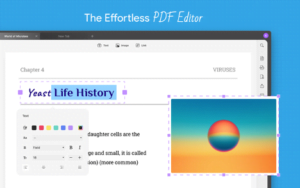 UPDF Review: A fast PDF Editor you cannot miss (40% Off)