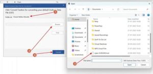 How to use Stellar Converter for OST