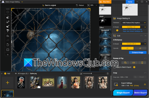 Aiarty Image Matting is the best AI Image Matting Software